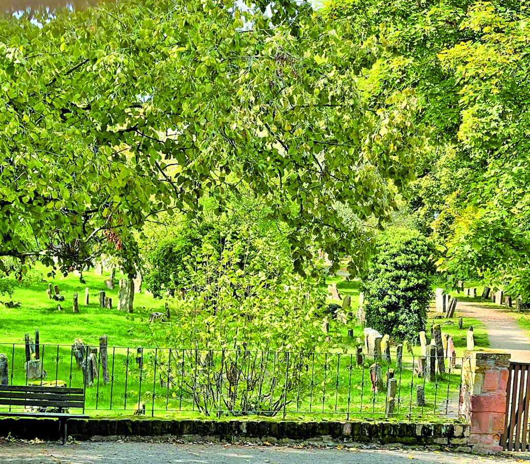 1300-20-2 – Kyoposhinmun