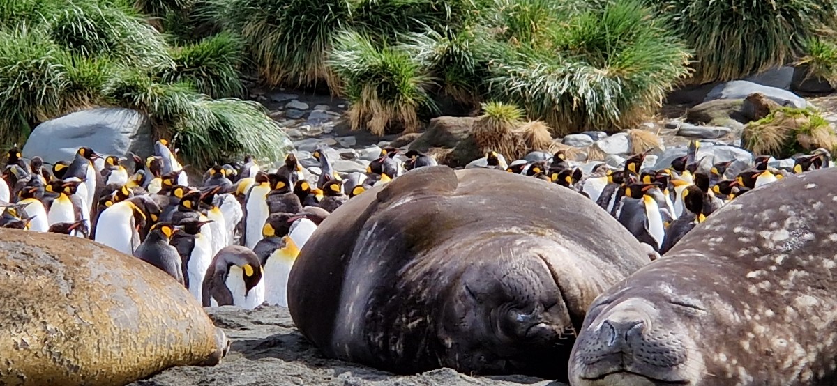 1302-20-4 – Kyoposhinmun